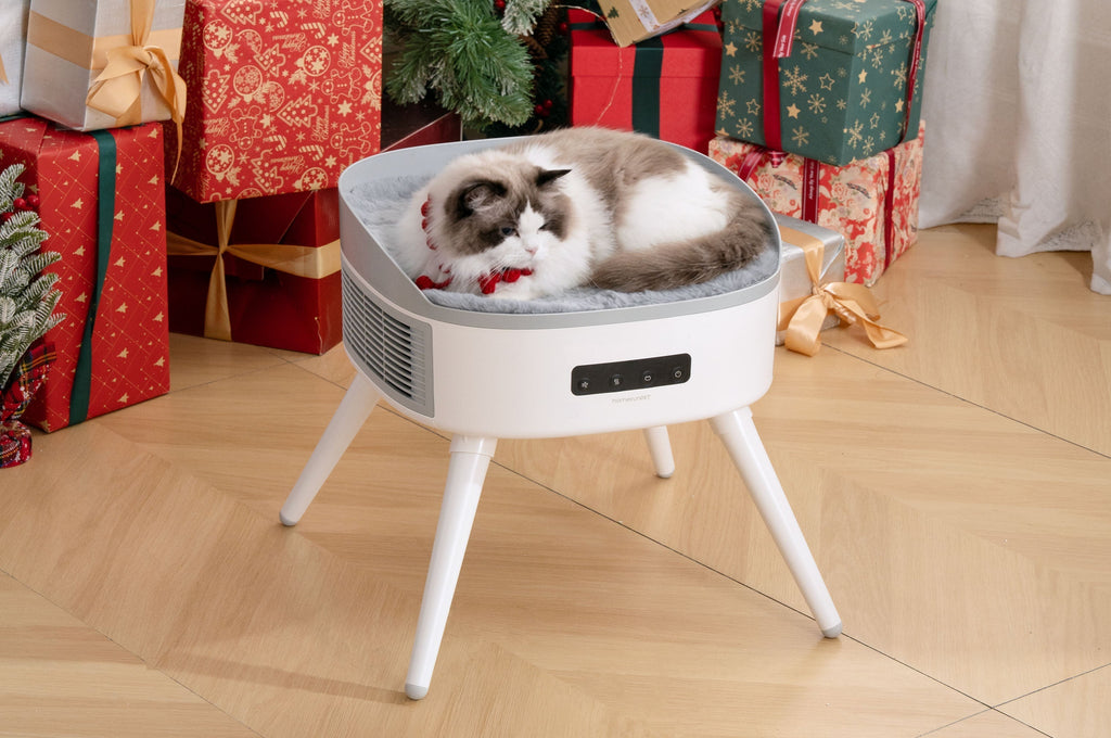 Warmth Without Worry: Why Every Pet Home Needs a Pet-Friendly Space He