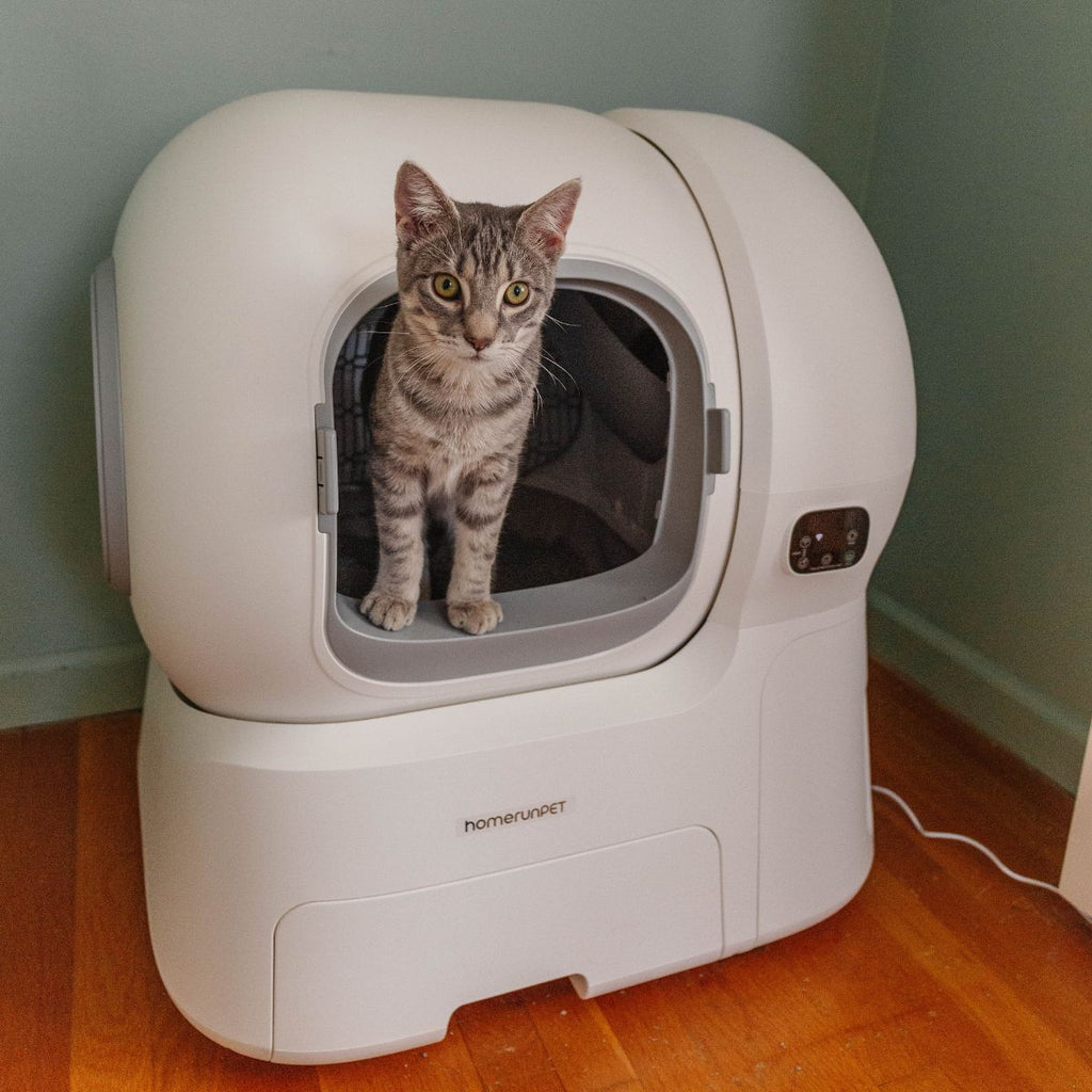 A Cleaner Home for the Holidays: How a Self-Cleaning Litter Box Transf
