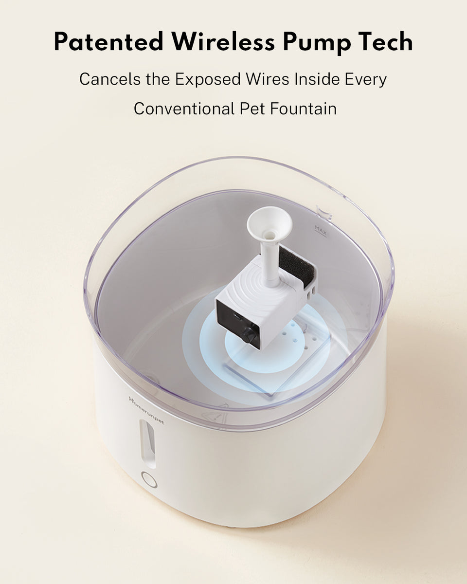 Best Automatic Pet Water Fountain with Wireless Pump | Homerunpet